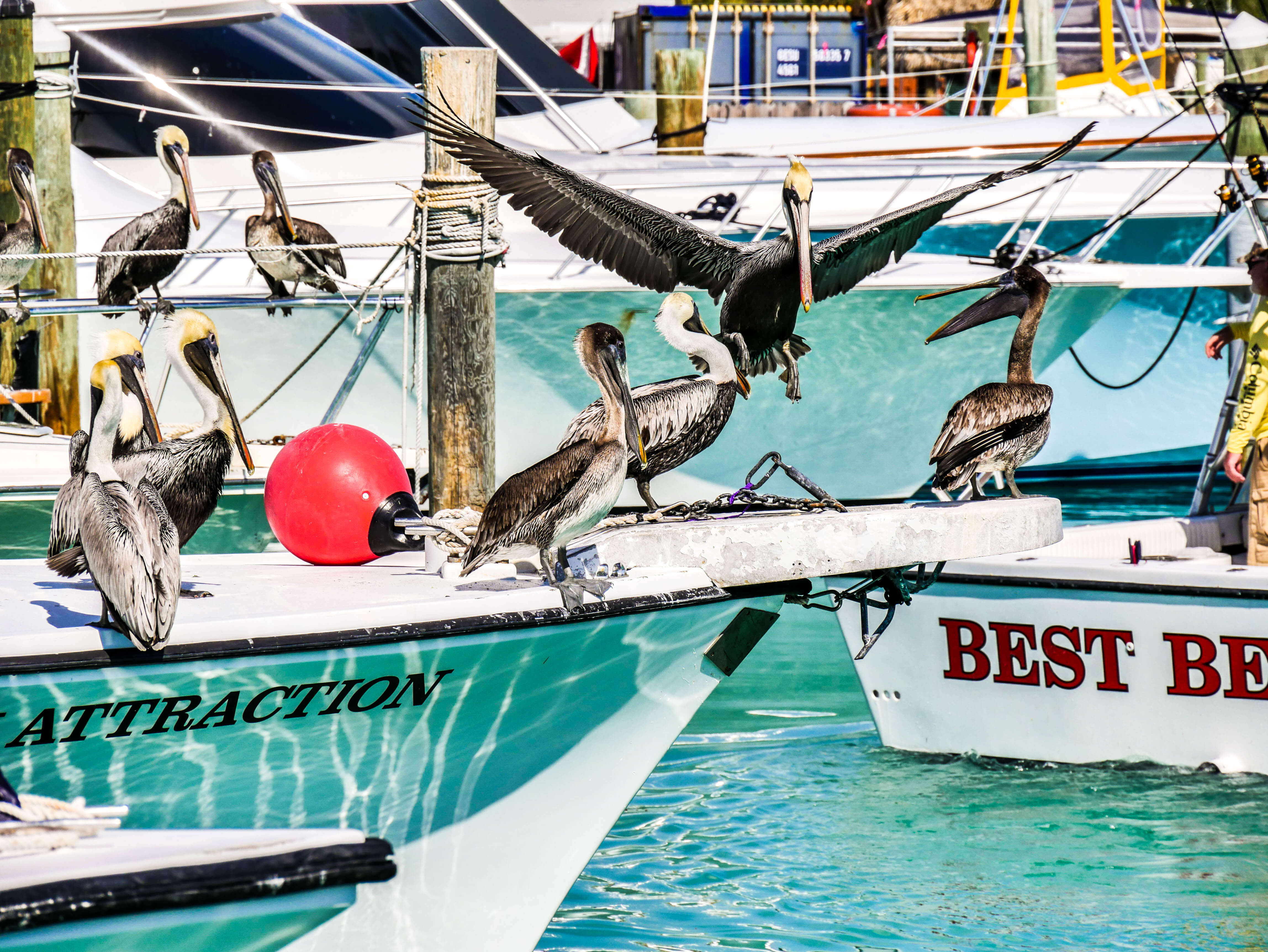 Visiter les Keys : nos idées de visites de Key Largo à Key West